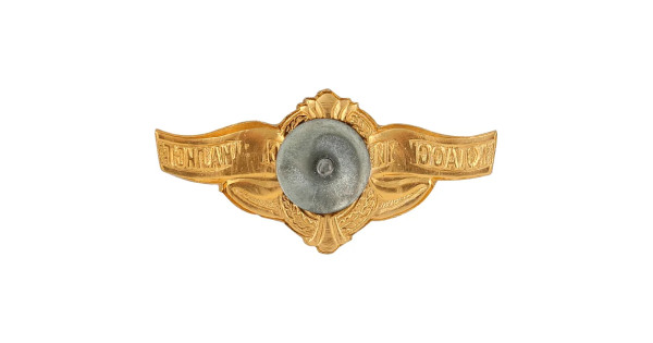 Private Rank Badge - Metal Class Insignia